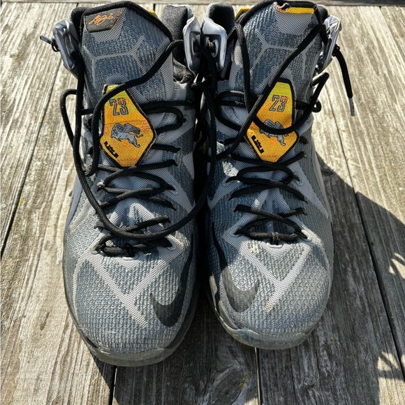 Shoes | Lebron 12 Flight Pack | Poshmark
